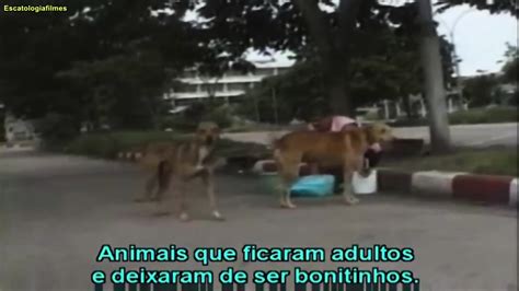 Arquivos Da Morte Mundo Cão Eporner