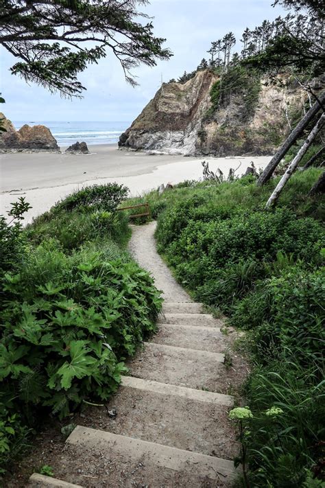 Premium Photo A Path To The Beach