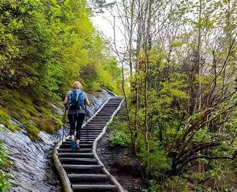 10 Common Smoky Mountain Wildflowers Youre Likely To See On Your