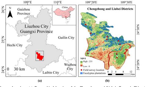 Figure 1 From A Mapping Approach For Eucalyptus Plantations Canopy And Single Tree Using High