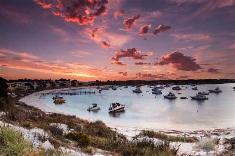 로트네스트섬 페리 이동 서비스 Funbooky