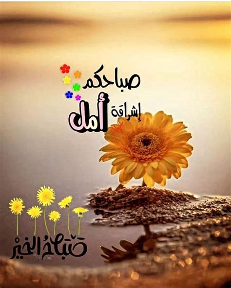 صور صباح الخير مع اجمل العبارات والهمسات 2025 Good Morning ☀صباح الخير
