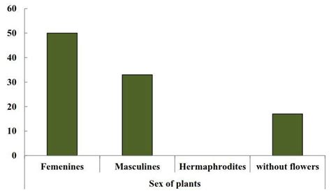 Evaluation Of Sex In Plants Of Wild Papaya Carica Papaya L Download Scientific Diagram