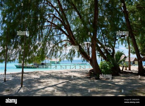 Wai Diving Resort On Raja Ampat Islands Indonesia Stock Photo Alamy