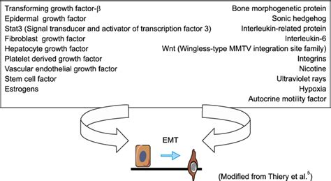 Inducers Of Type 3 Epithelialmesenchymal Transition Emt