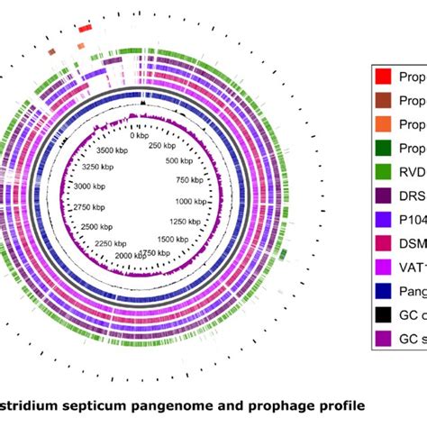 Pangenome Core Genome Plots And Core Genome Phylogeny A The