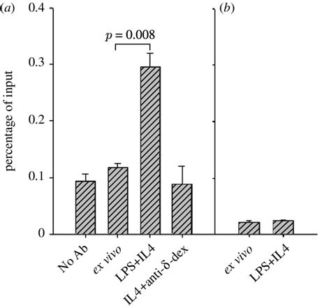 Dna Polb Binds To The Igsm Region But Not The Cm Gene In B Cells