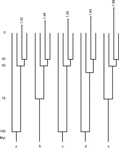 Deviations From The Molecular Clock Causing Inconsistency In Maximum Download Scientific