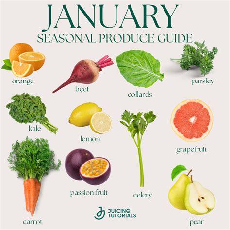 January Seasonal Produce Guide Boost Your Wellness Naturally Juicing