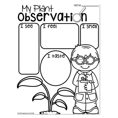 Plants Unit Writing Activities Observation Lucky Little Learners