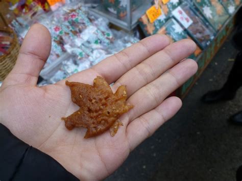 Minoh Park Osaka Japan Travel