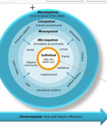 Adolescent Development Final Exam Flashcards Quizlet