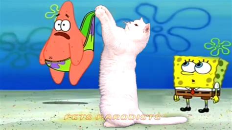 Beating Up Patrick Youtube