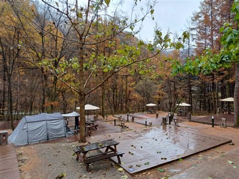 [화천 만산동 국민여가캠핑장 2박3일 캠핑] 평화의 댐 파로호전망대 딴섬 살랑교 화천여행 화천가볼만한곳 네이버 블로그