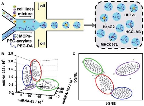 A Schematic Illustration Of Generating Single Cells Encapsulated Download Scientific Diagram