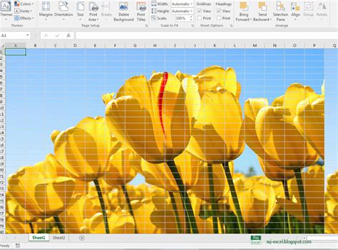 Raj Excel Add Or Remove A Sheet Background In Excel
