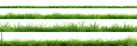 collection of green grass borders seamless horizontally isolated on