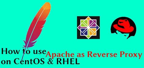 Apache Reverse Proxy Configuration Step By Step Linuxtechlab