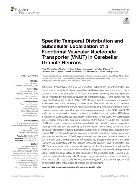 Pdf Specific Temporal Distribution And Subcellular Localization Of A Functional Vesicular