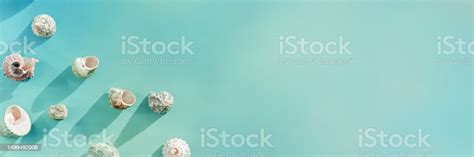 최소한의 여름 배너 햇빛에 조개껍데기가 있는 추상적인 배경 미적 흑백 정물화 청록색 여름 휴가 개념 그림자가 있는 탑 뷰 자연 조개 복사 공간 바다에 대한 스톡 사진 및