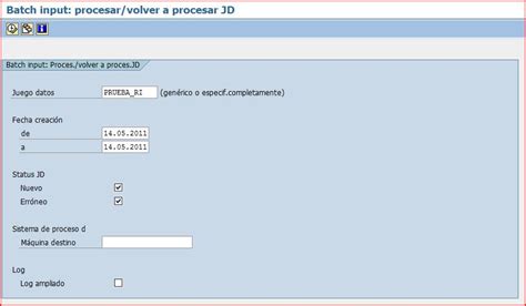 Procesar Juegos De Datos De Batch Input Blog De Sap