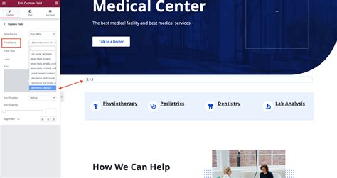 Custom Field Widget Themeisle Docs