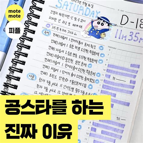 모트모트 Motemote 모트피플 오늘의 주인공 돌맹이 With Stupid Stone 님