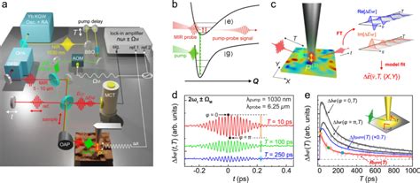 Paper 2022 Ultrafast Infrared Nano Imaging Of Far From Equilibrium Carrier And Vibrational