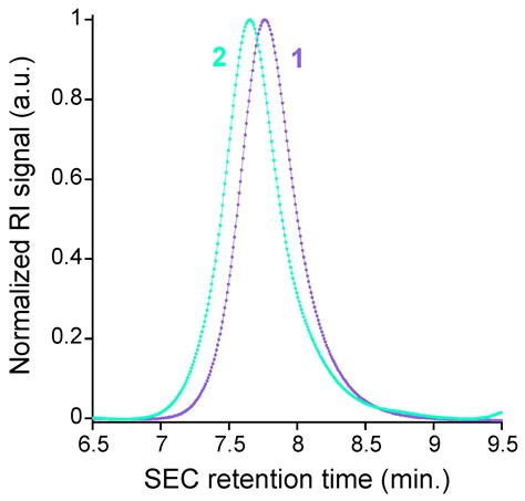 Toward Long Term Dispersible Metal Free Single Chain Nanoparticles