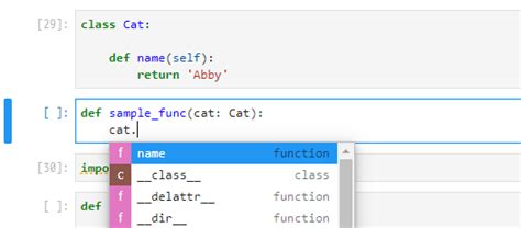 Third Party Module Type Annotation Support · Issue 12 · Jupyter Lsp Jupyterlab Lsp · Github