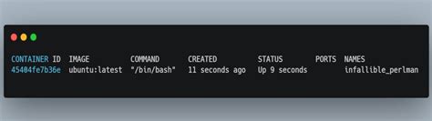 Domine O Docker 8 Comandos Essenciais Para Iniciantes