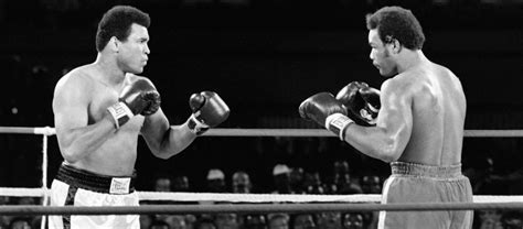 The Rumble In The Ai Jungle Will The Cdo Or Cio Emerge Victorious In The Race To Implement