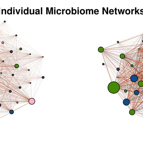 Examples Of Individual Microbiome Networks Nodes Represent Different