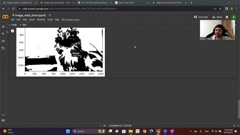 Thresholding With Various Algorithms Scikit Image Python Youtube
