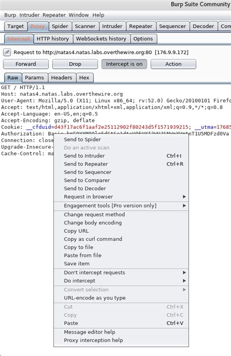 Stop In The Name Of Web Intercepting Traffic With Burpsuite A