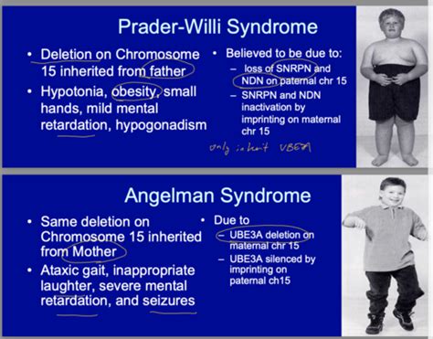 2 Non Mendelian Chromosomal Abnormalities Flashcards Quizlet