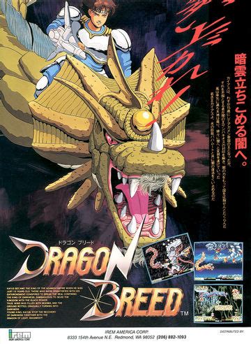 Lost In Translationdragon Breed Exotica