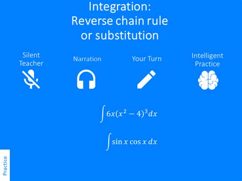 integration reverse chain rule variation theory