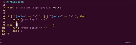 Linuxubuntushell脚本条件判断函数和循环入门必看 阿里云开发者社区 Linuxubuntushell脚本条件判断函数和循环入门必看 阿里云开发者社区