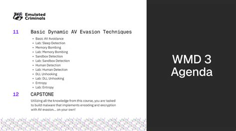 Wmd 3 Dynamic Evasion Techniques Just Hacking Training Jht