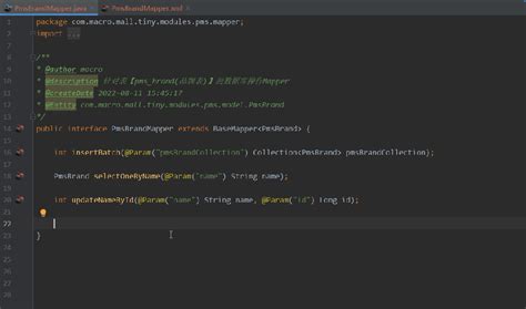 SpringBoot MybatisX真香 程序员小 的技术博客 CTO博客