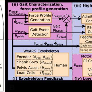 A A Participant Wearing The Cable Driven Ankle Exoskeleton Referred Download Scientific