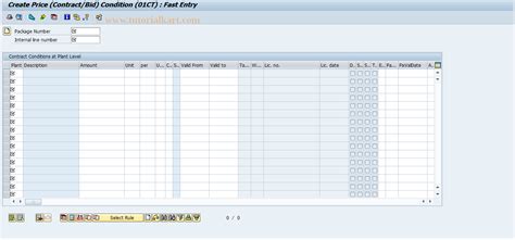 ML SAP Tcode Create Service Conditions