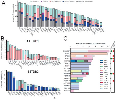 Mutational Analysis Of Hmes In Cancer A Stacked Bar Plot Summarizing