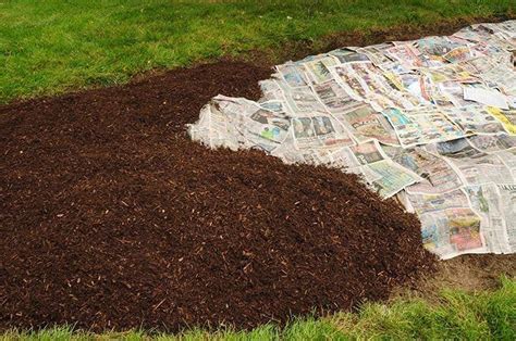 How To Remove Grass From The Garden Garden Junkie