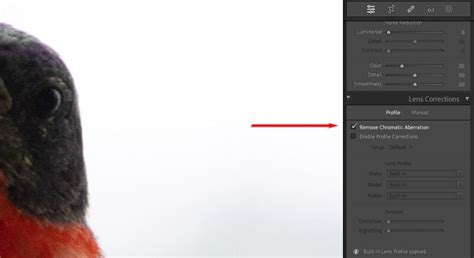 10 Lightroom Editing Tips To Improve Your Skills