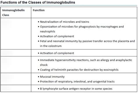 Unit 4 Ch 19 Principles Of Immunity Diagram Quizlet