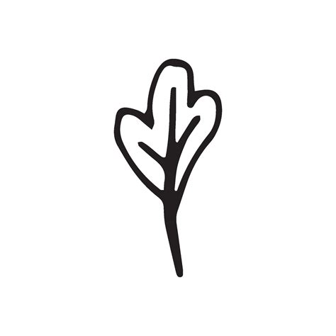 Cute Single Hand Drawn Floral Elements Doodle Illustration For Wedding