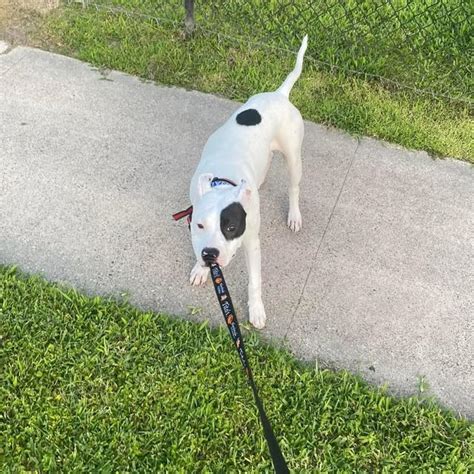 Jordan Ledet Ledet4986 • Threads Say More