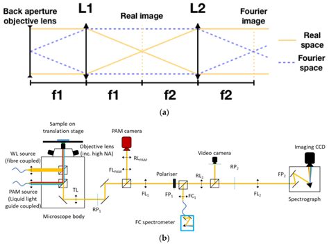 A The Positioning Scheme For Lenses In A 4f Fourier System With